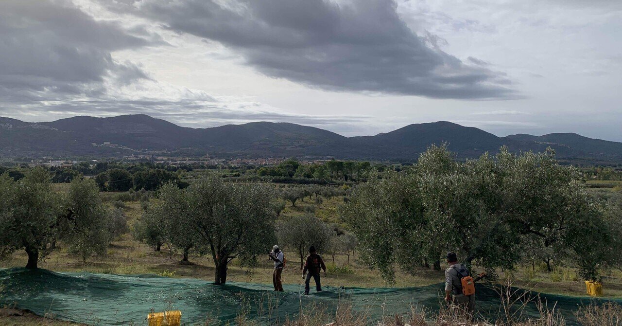 収穫隊を選ぶということ｜OTA YUKI