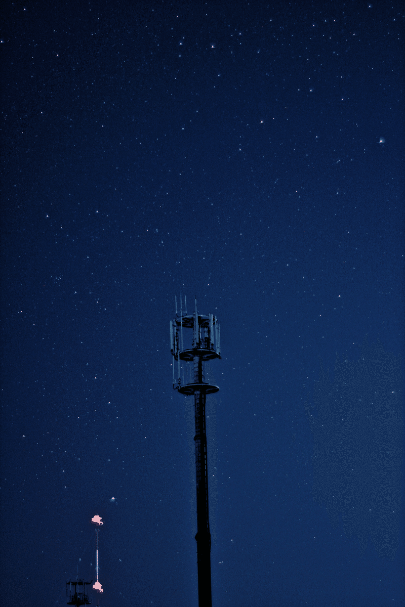 光が隠してしまうものがあるなら、意味もなく生まれた命などないと話すみたい。｜心が柔らかくなる瞬間を。