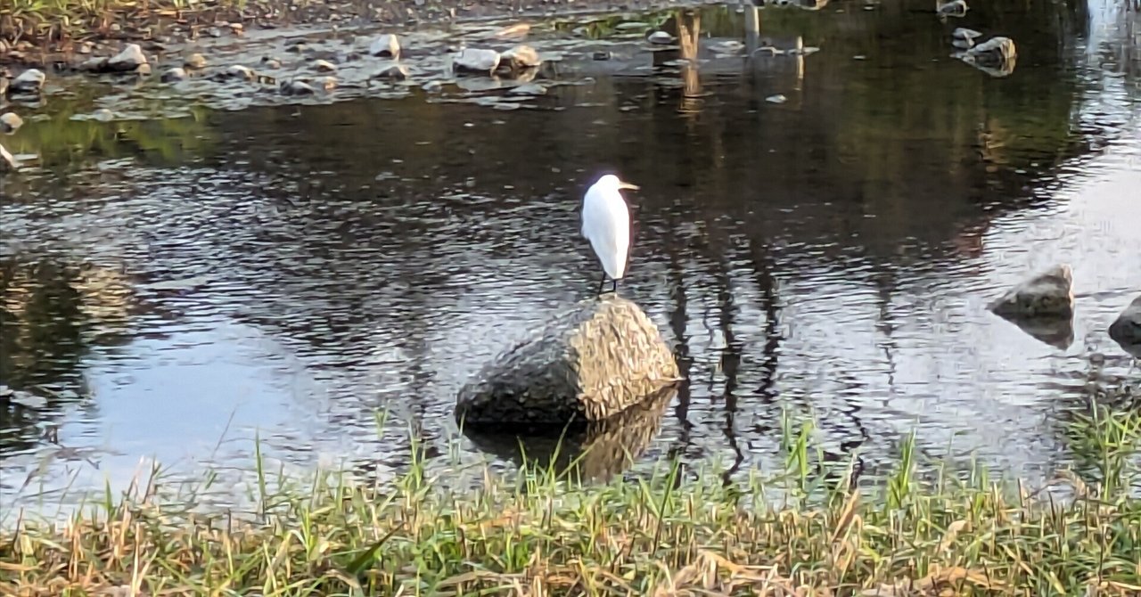 一枚の画像〜何故か好き｜ichiro70