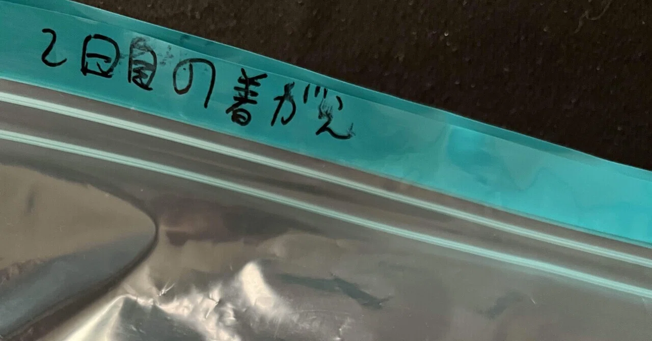 自閉症の修学旅行準備｜susui
