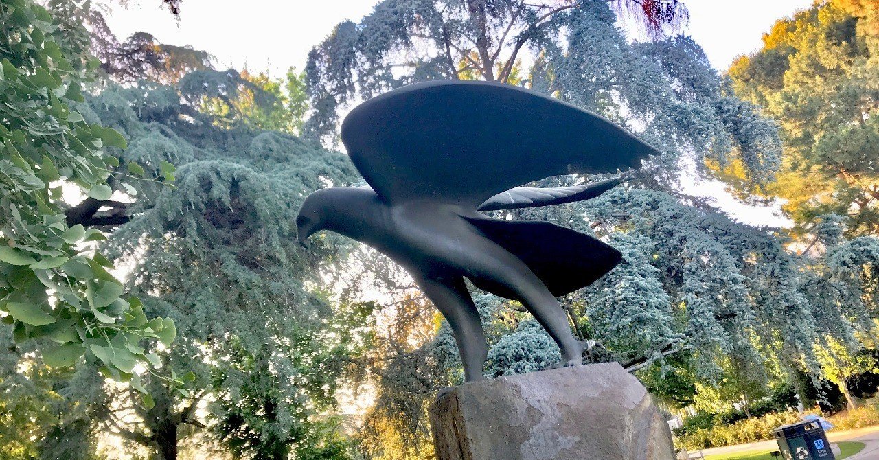 Day 16｜Kanta Kurata