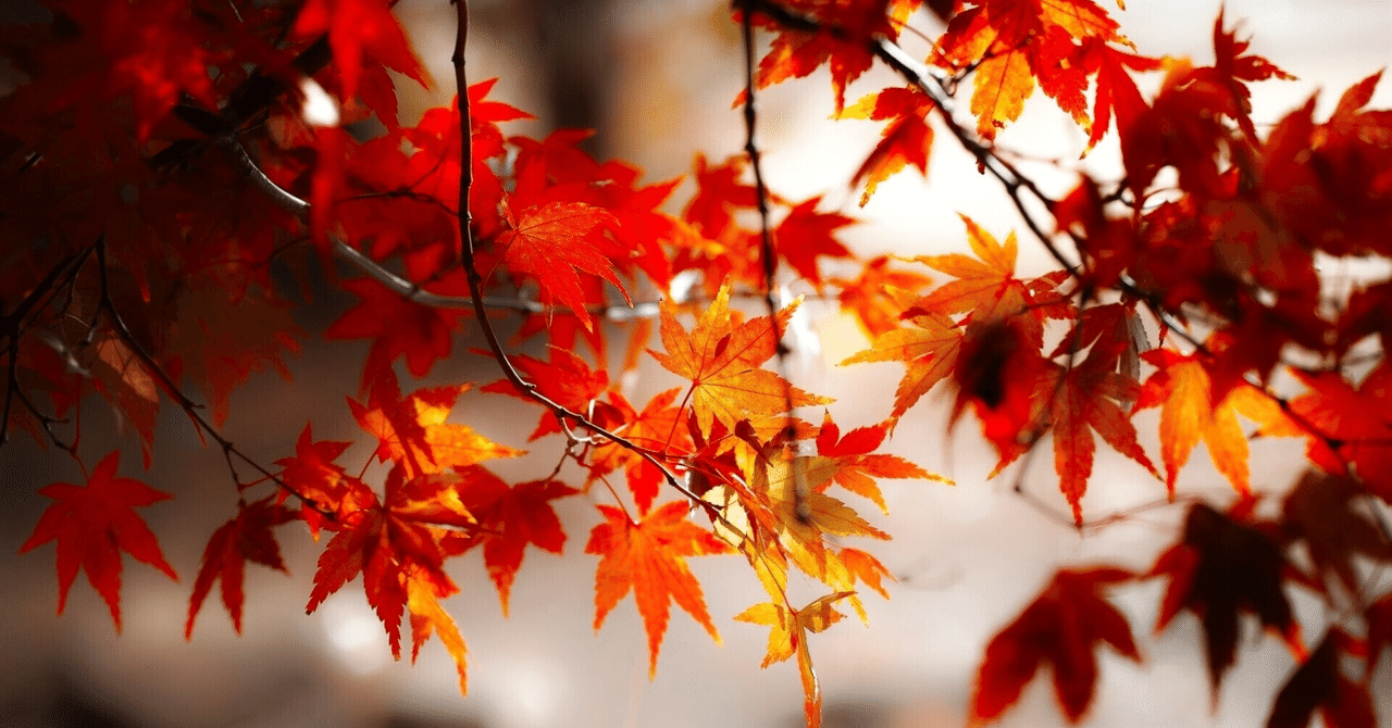 DATA Saber Ord2｜iarih