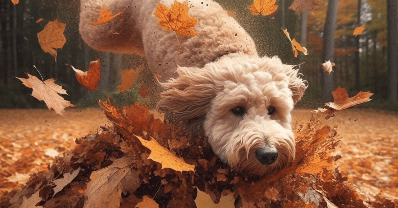 noteが書けないとき、どうするか。｜味園健治 K.Misono【365日コンサルnote】