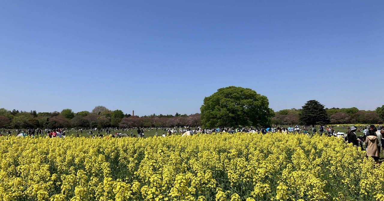 【体外受精2回目】BT6日目～10日目の記録｜なかり