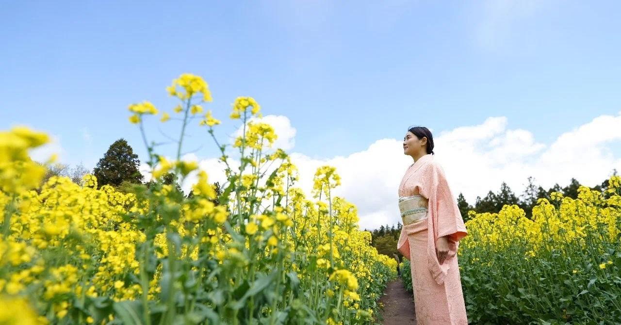 Backed up by a series of miracles...｜Fujii Sayaka 藤井さやか
