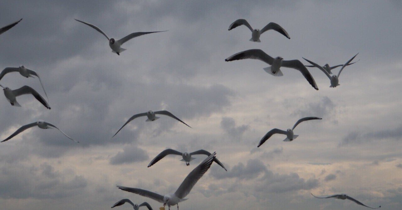 ＃071 戦後生まれ〜1955年まで｜fumio@ほぼ日•Time treeを使う相談援助職