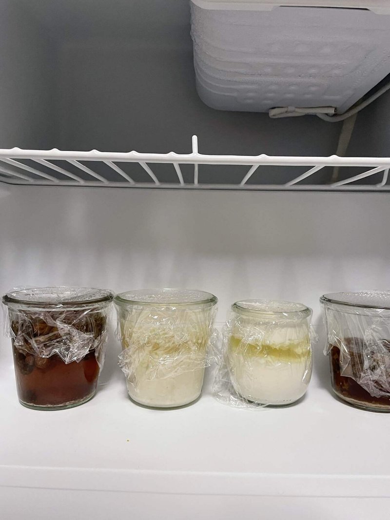 酵母専用冷蔵庫｜bake sunao.🥐