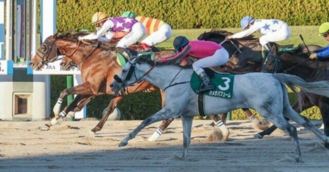 【2023 みやこステークス（G3）】日刊馬番コンピ指数分析予想篇｜Haya