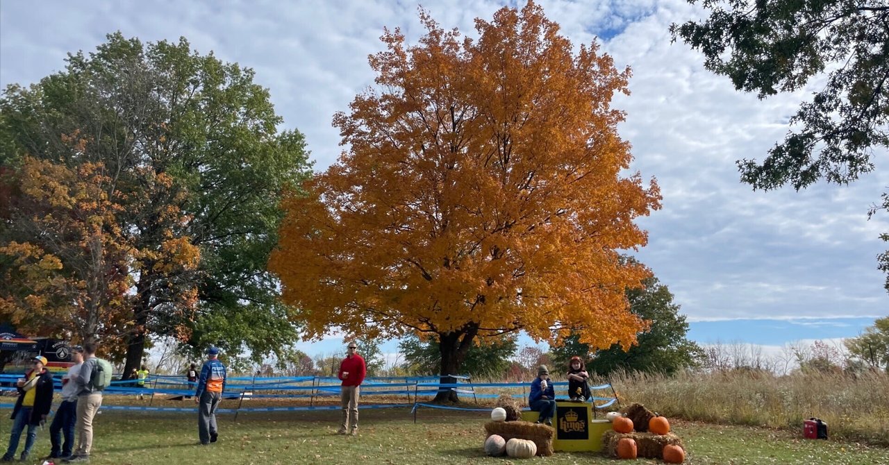 アメリカ遠征記③｜raito_suzuki