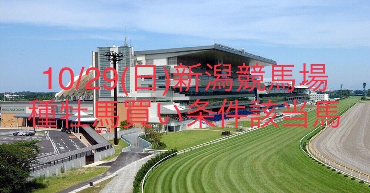 1029日新潟競馬場 種牡馬の買い条件該当馬｜回収率向上委員会
