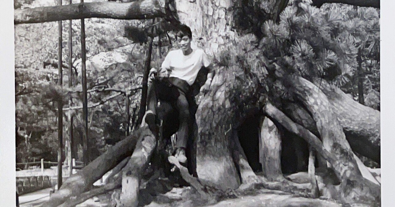 出逢い｜YANKODAYO