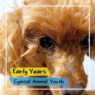 Cynical Animal Youth｜note