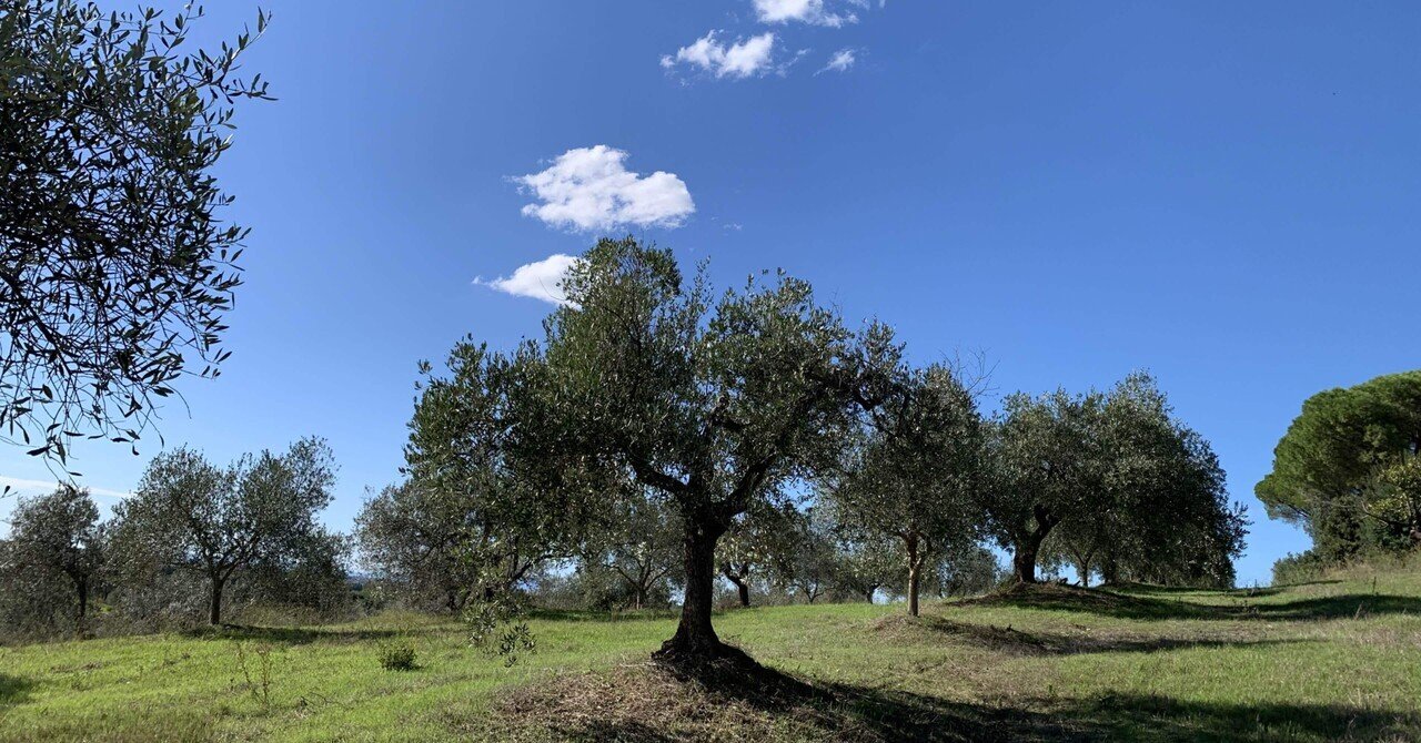 収穫が終わった日に思う。｜OTA YUKI