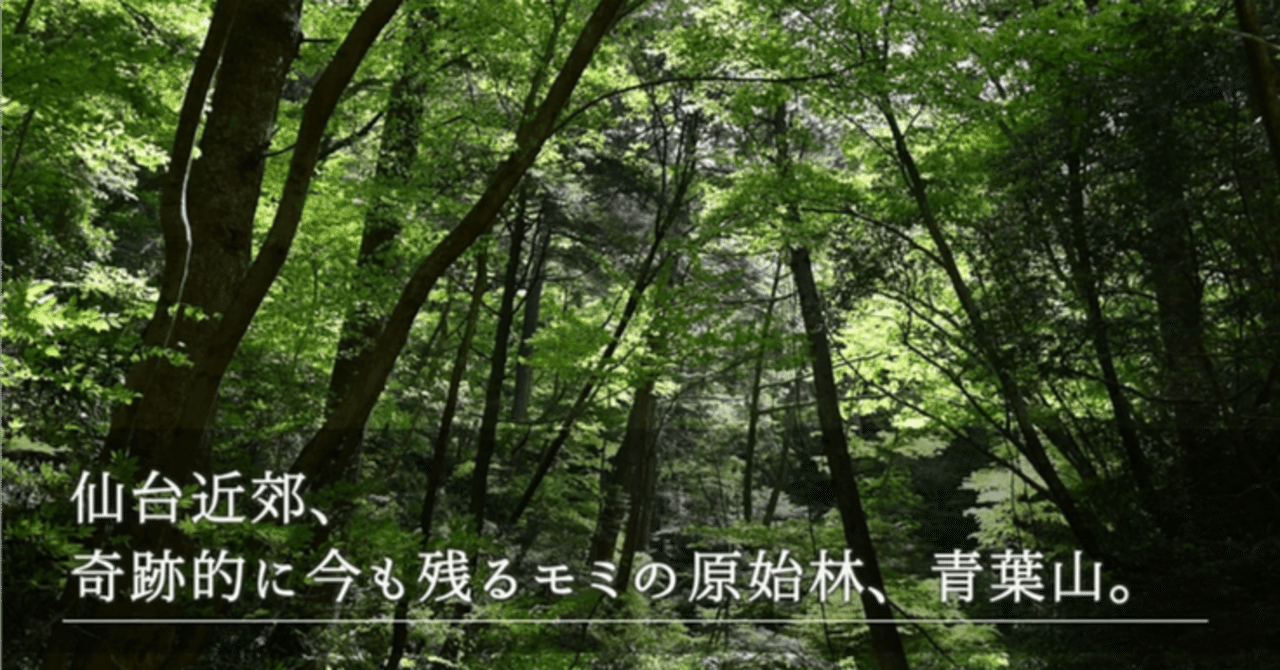 仙台通信note (Sendaitribune)｜note