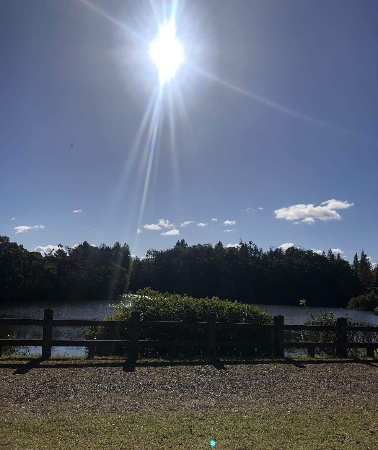 秋の日差し｜ユメカ（Yumeka.yy）