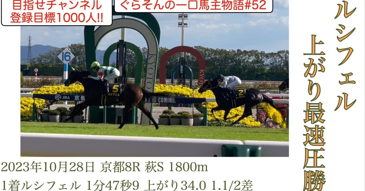 【競馬現地映像】ルシフェル 萩S 圧勝 ️ 2023.10.28 京都芝1800【うめぼし牧場の一口馬主物語#51】｜ぐらそんのWIN5 36点予想