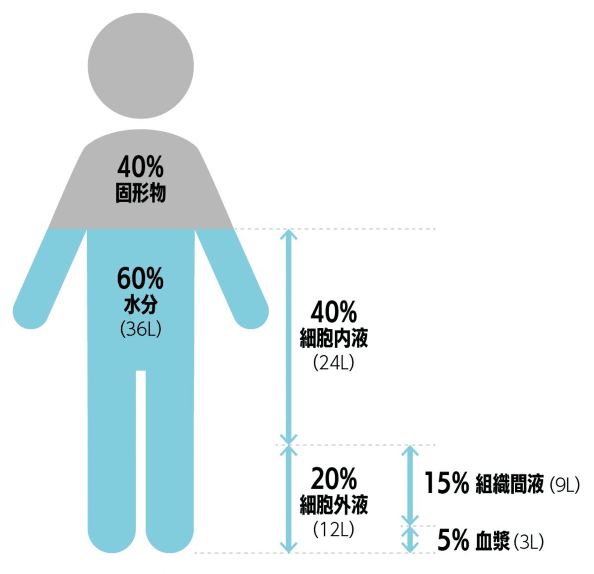 輸液療法の深掘り｜【目指せ診療看護師】かん
