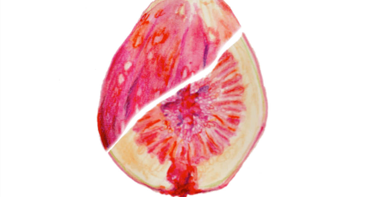 じぶんのはなし｜Nasyon.