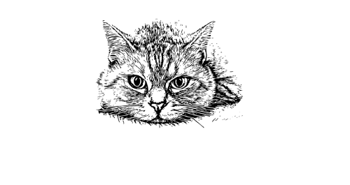 TAKAMI@BizDev｜note