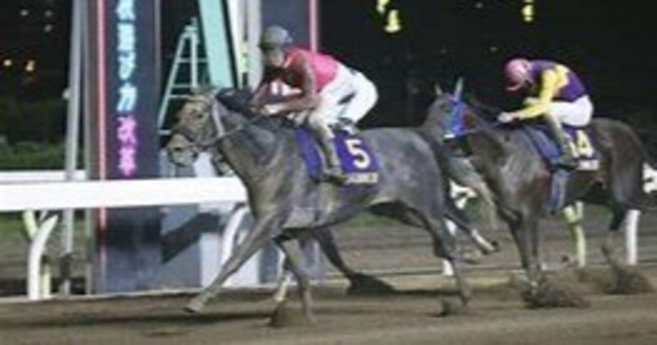 【大井🔥激走穴馬勝負レース👊🔥】1031（火）【10r】うさぎ座特別競走 C1二c2一（発走時刻1930）｜さやだま