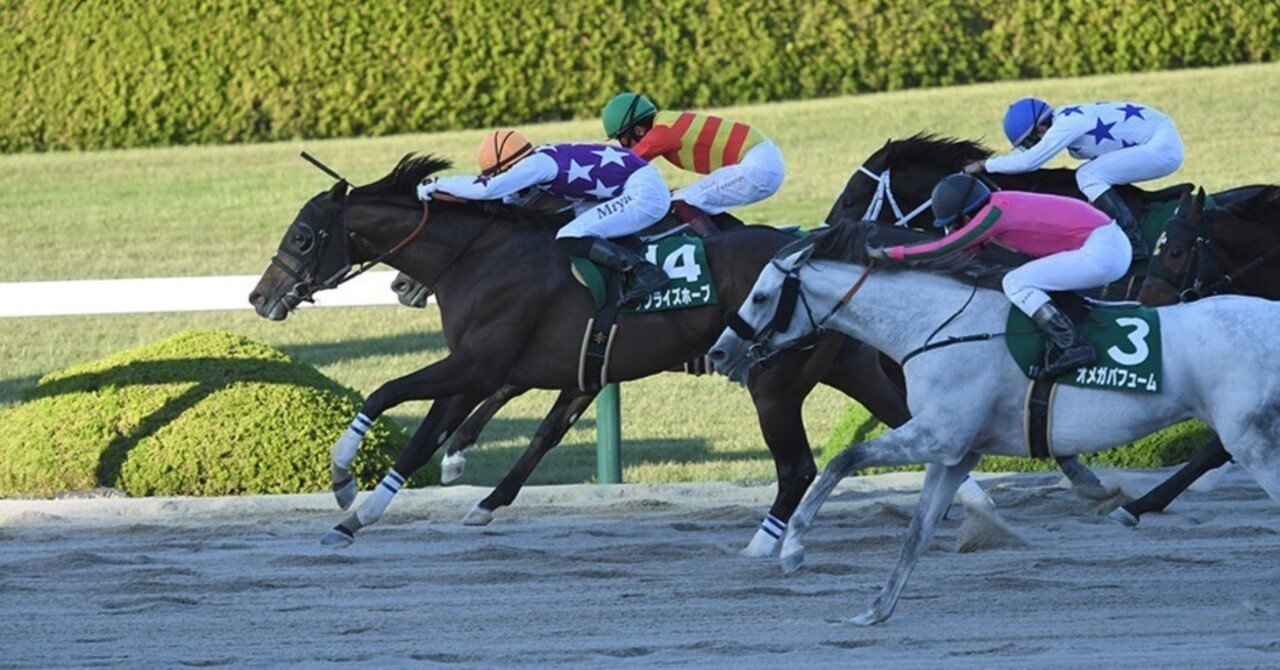 【2023 みやこS（G3）】徹底的に攻略データ篇｜Haya