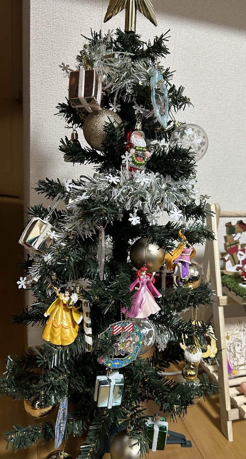 最近のイロイロ｜村上夏奈瀬／Murakami Nanase