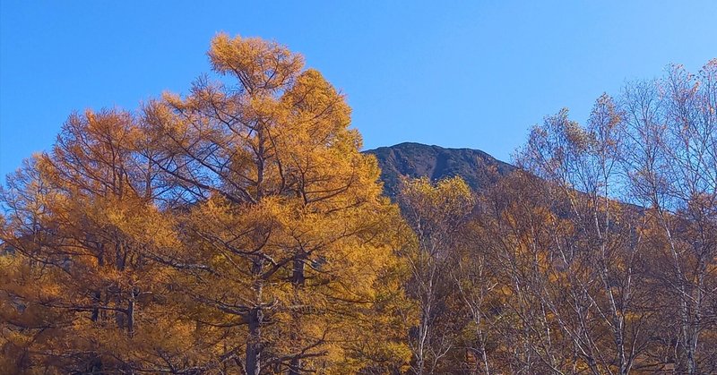 【今日11月3日金のおうし座♉オンリー占い】あなたの本当の気持ちが大切な人の心の奥深くまで届く！｜【おうし座♉オンリー占い】