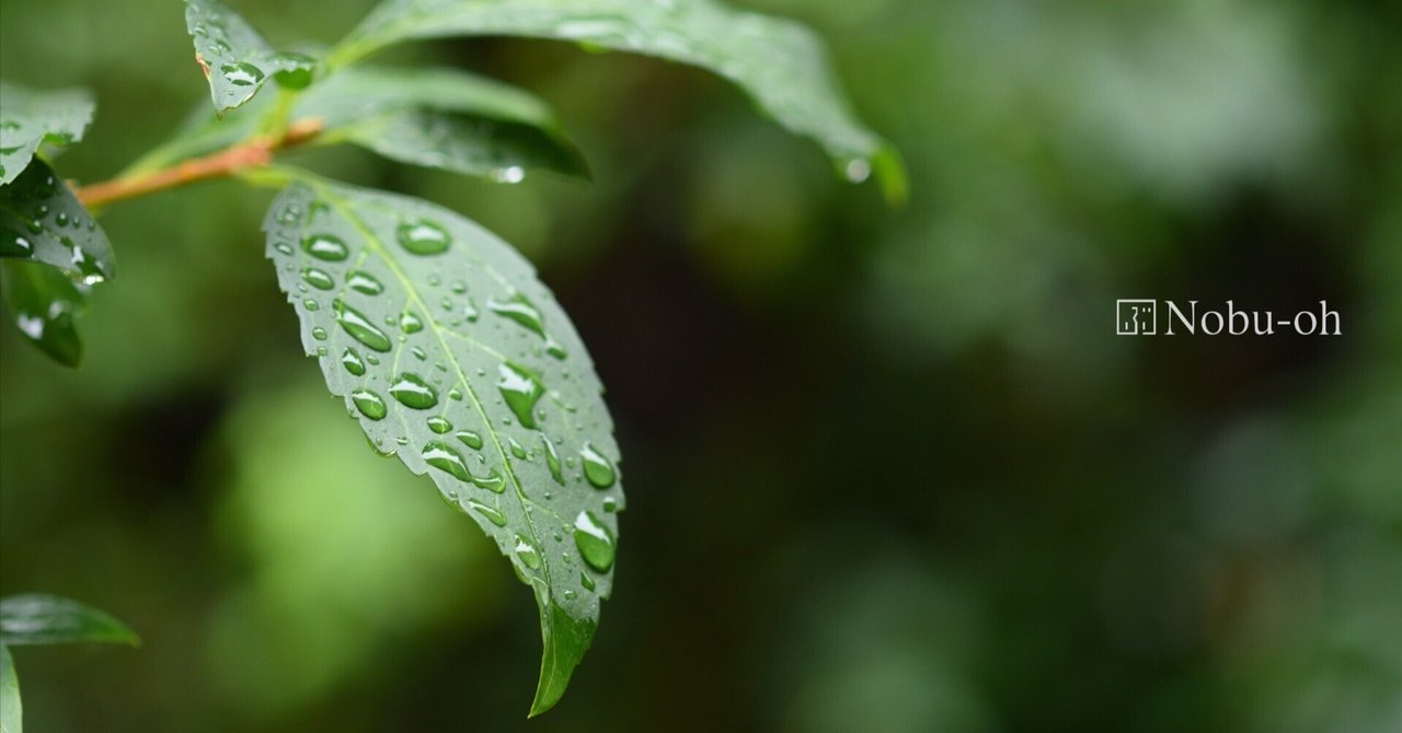 止まない雨はない｜Nobu-Oh