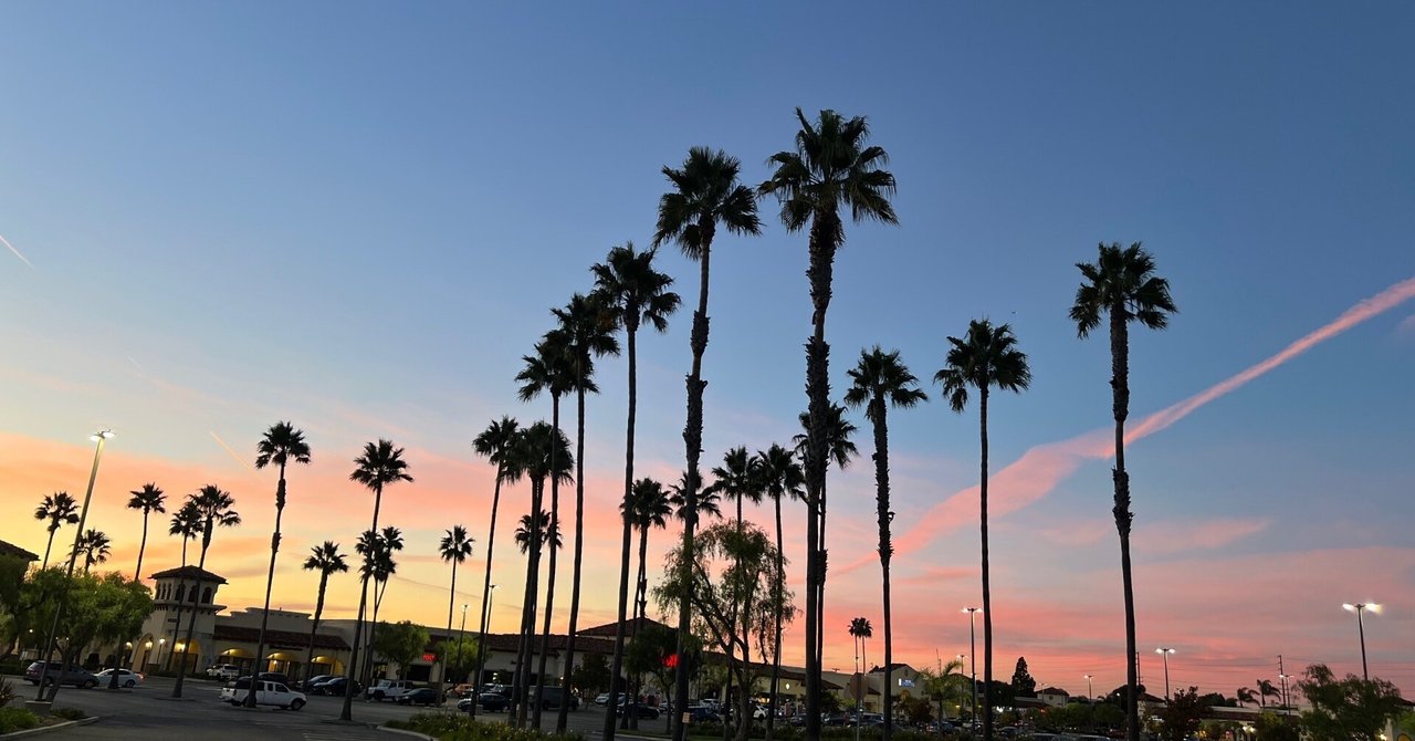 「探し物は何ですか？」｜tomoko(LA在住）