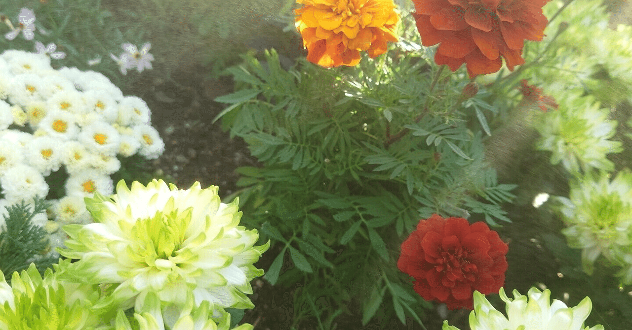 ubuntu 23.04ja docker kali-linux｜blue06_2022