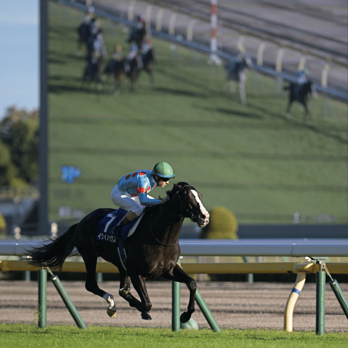 ニコンZ9が最高な2点とその理由を深掘り！｜Alice_photolog