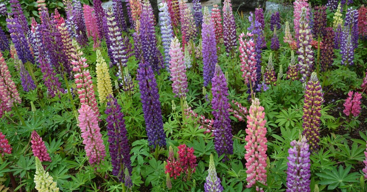 場所・環境を変えることで、その人の輝きがかわってくる｜Kenichi Aichi