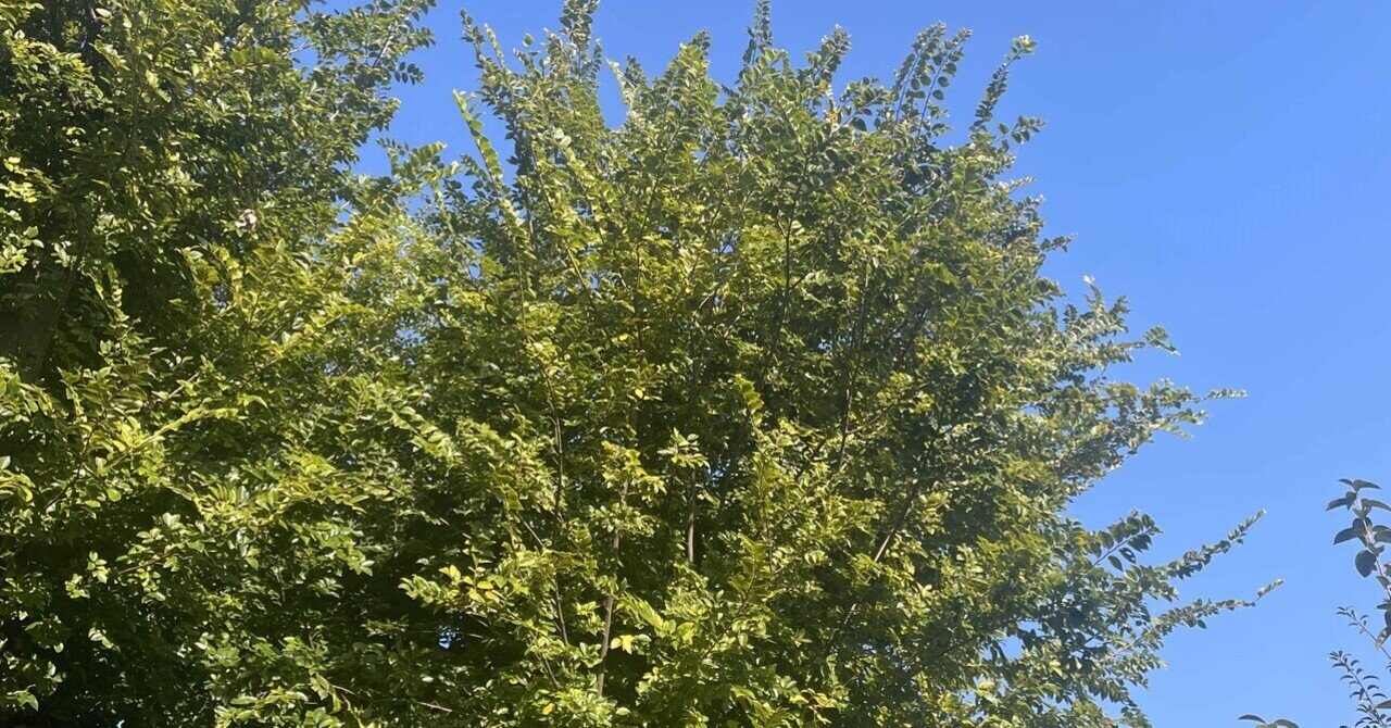 ハロウィン🎃｜まつ（matsu）