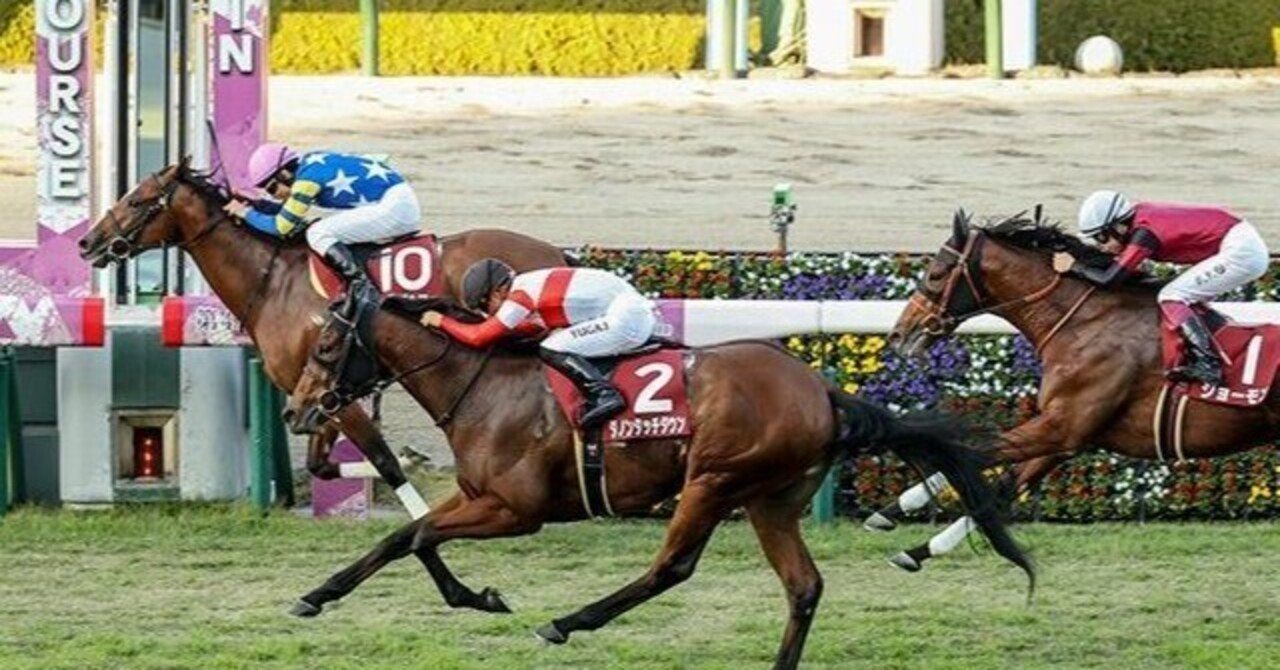 【2023 デイリー杯2歳s（g2）】日刊馬番コンピ指数分析予想篇｜haya