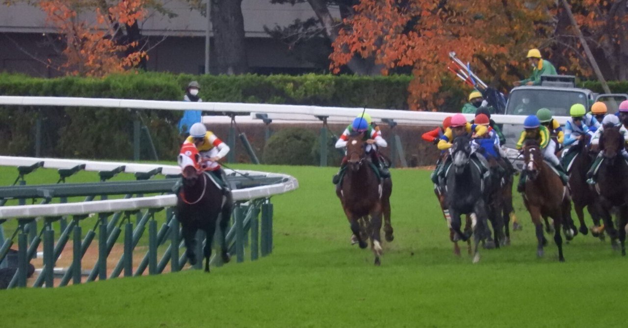 【2023 福島記念（g3）】日刊馬番コンピ指数分析予想篇｜haya