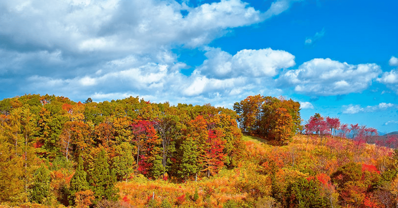 AMWAY最高タイトルのあの人が解雇｜moco moco