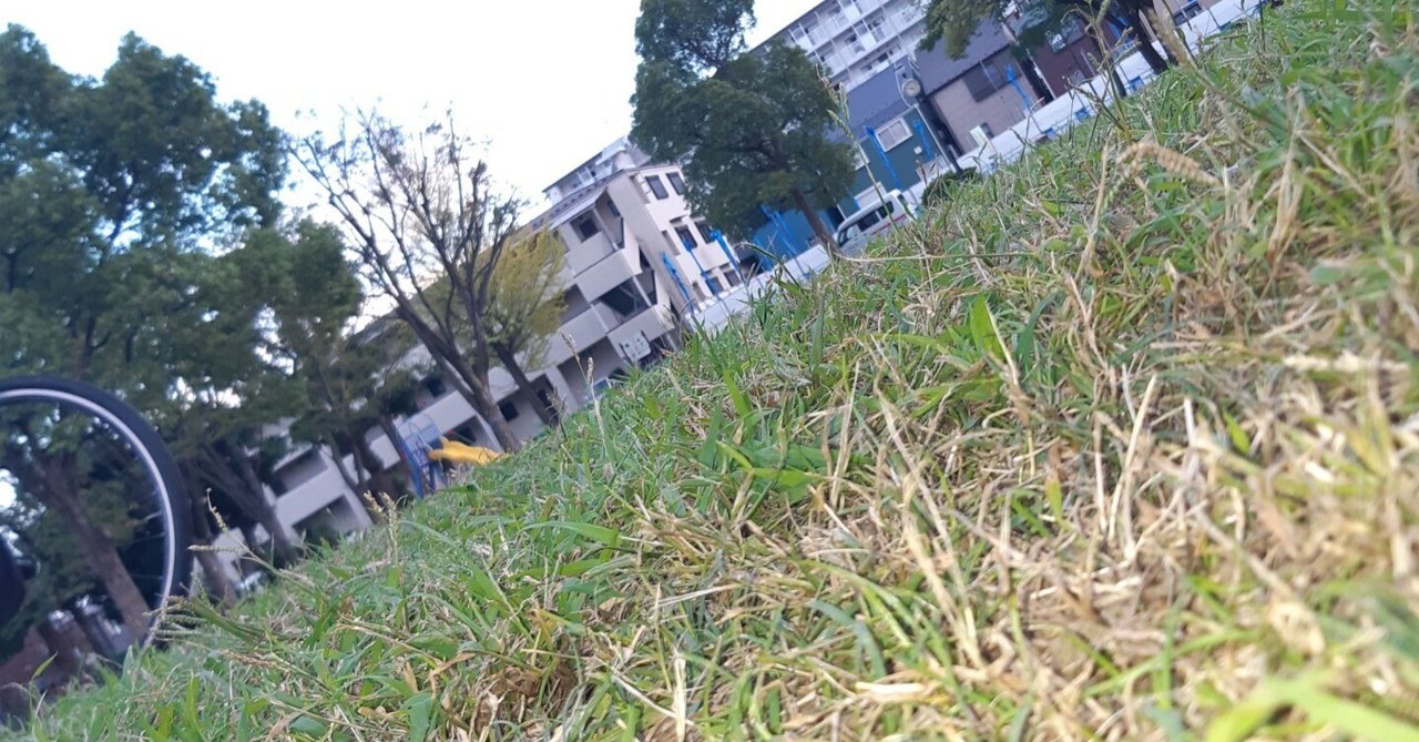 人生の種まき 癒しの種まき きっかけをつかむために種まきしてますか？｜hamuster