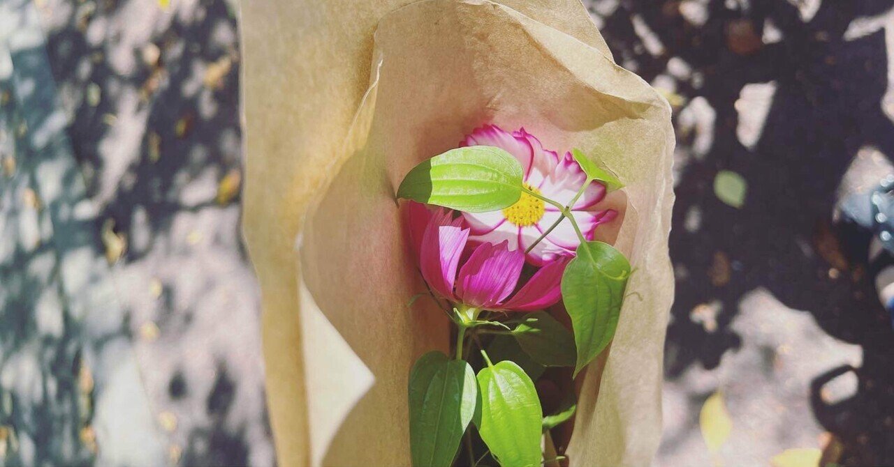 最近 #写真で一気に｜k.ooo