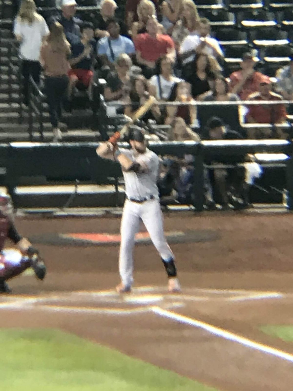 【MLB30球場全部行く】アリゾナ・ダイアモンドバックス（9/30）｜みーがん