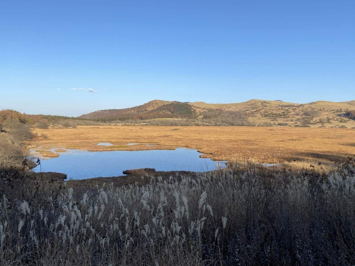 紅葉する山々と霧ヶ峰・美ヶ原・八島湿原｜之哲／Yuki Satoru