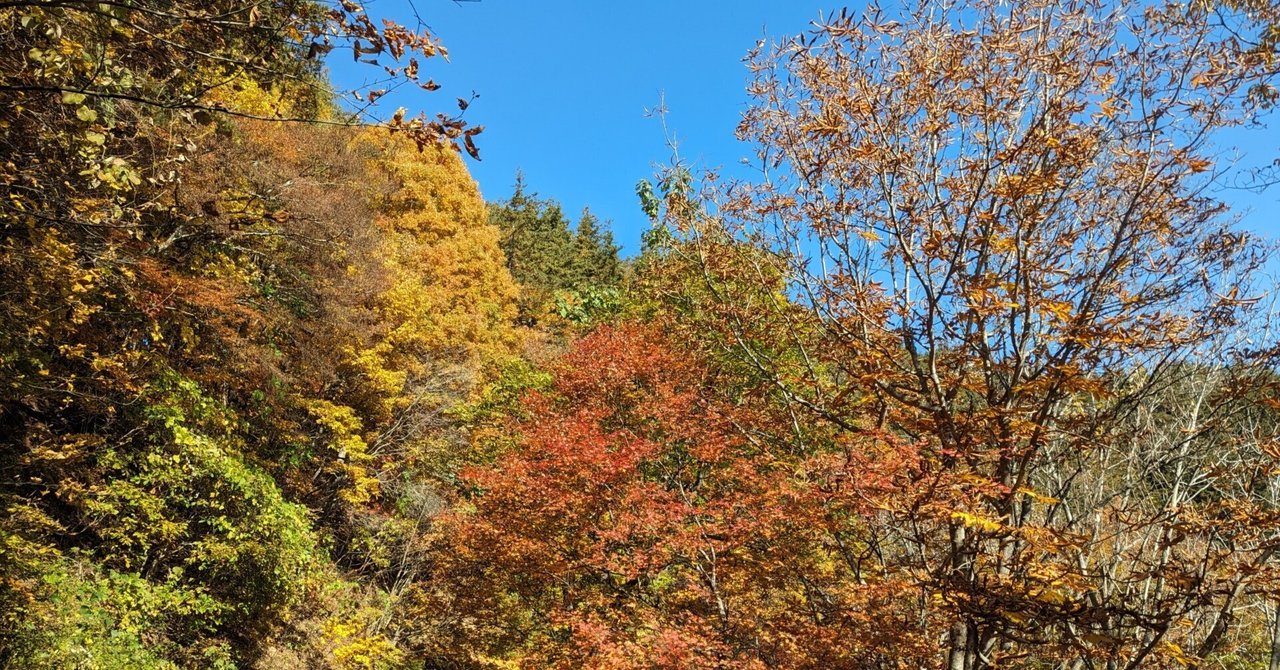 数字は嘘をつきませんが、嘘つきは数字を使います。｜geha2unlimited