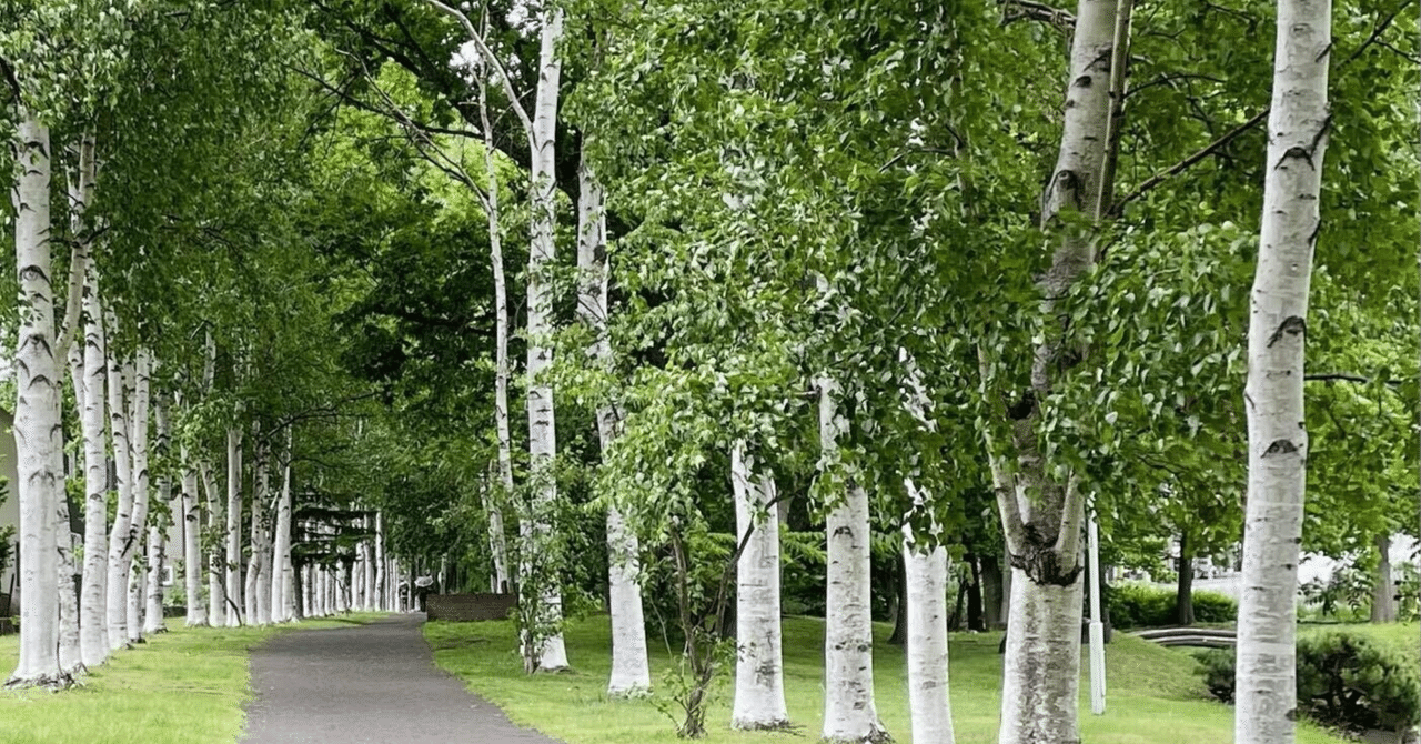 ヴィヒトの使い方と選び方＠エストニア｜KY研究所@CoderDojo横浜港北ニュータウンやってます