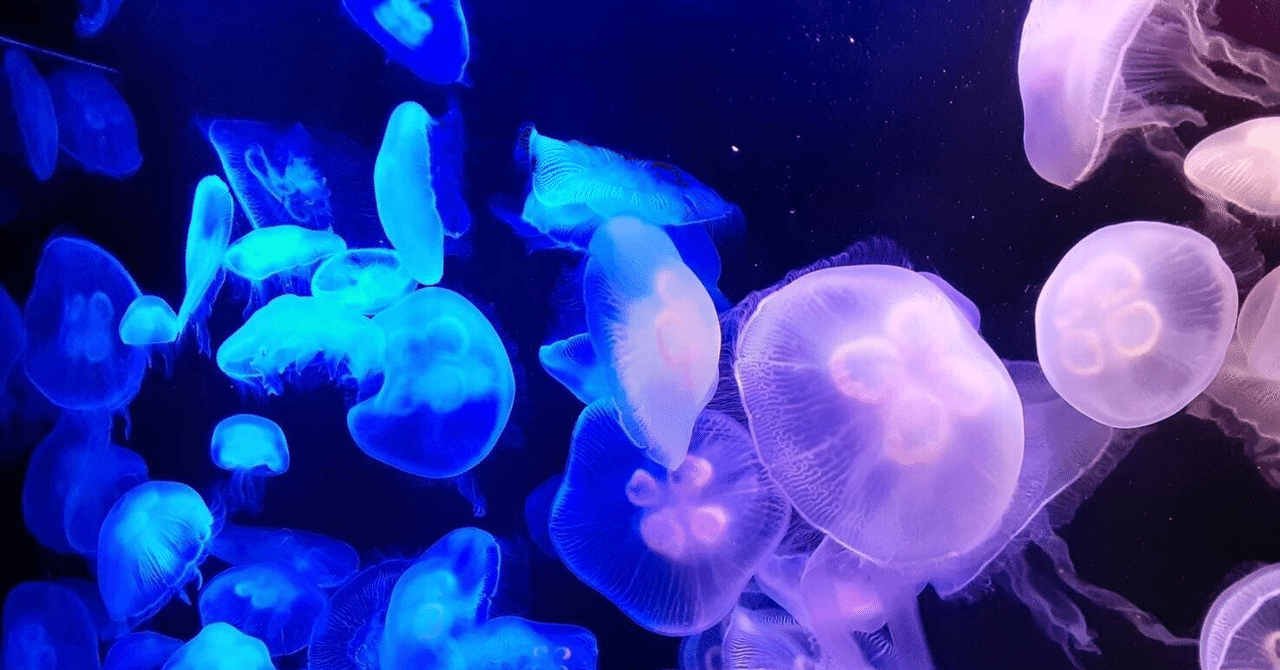 何をやりたいのか分からない。そんなあなたへ。｜Meg@チャネリング＆現実創造