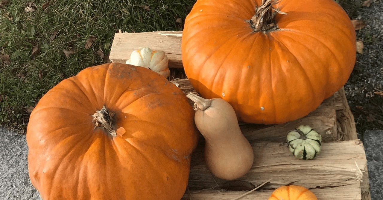 BLW離乳食【9週目】｜723nk