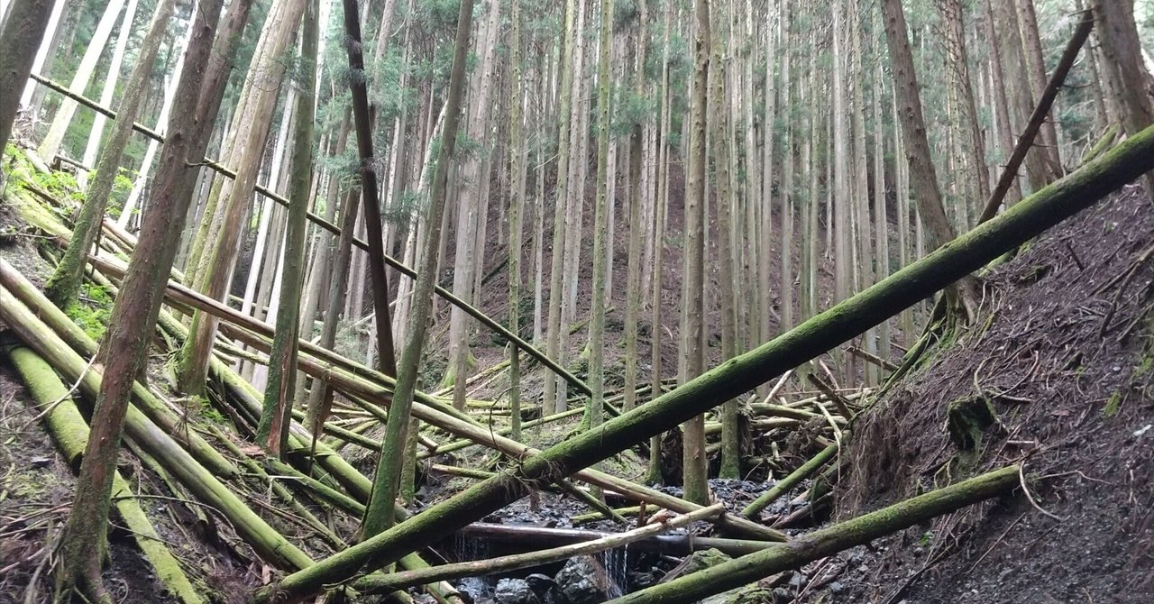 山に入ってみる②｜h.shiba