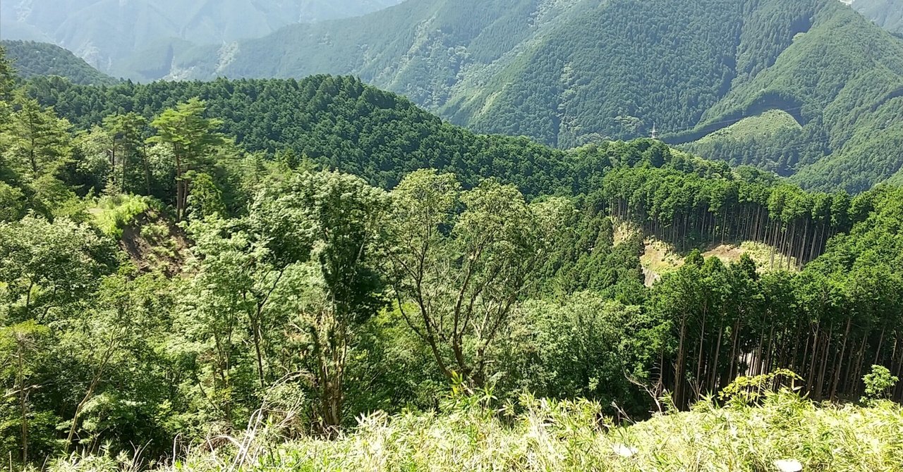 山入り 2日目｜h.shiba