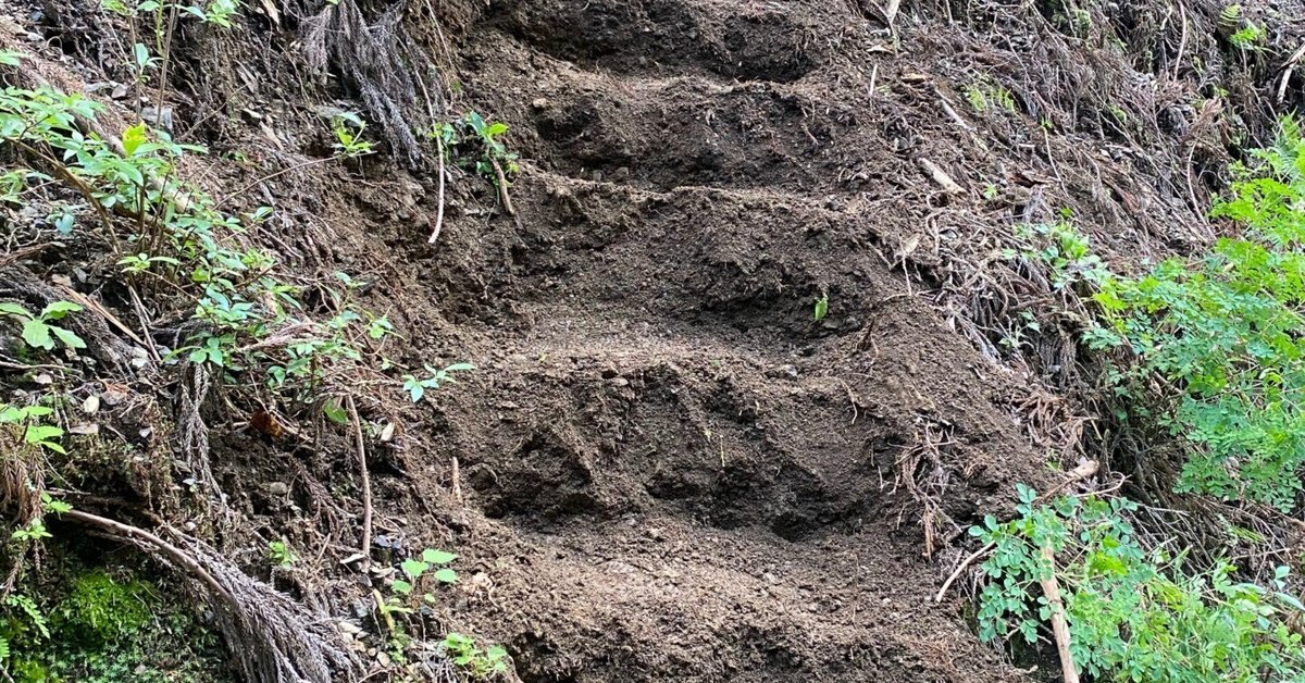 道づくり｜h.shiba