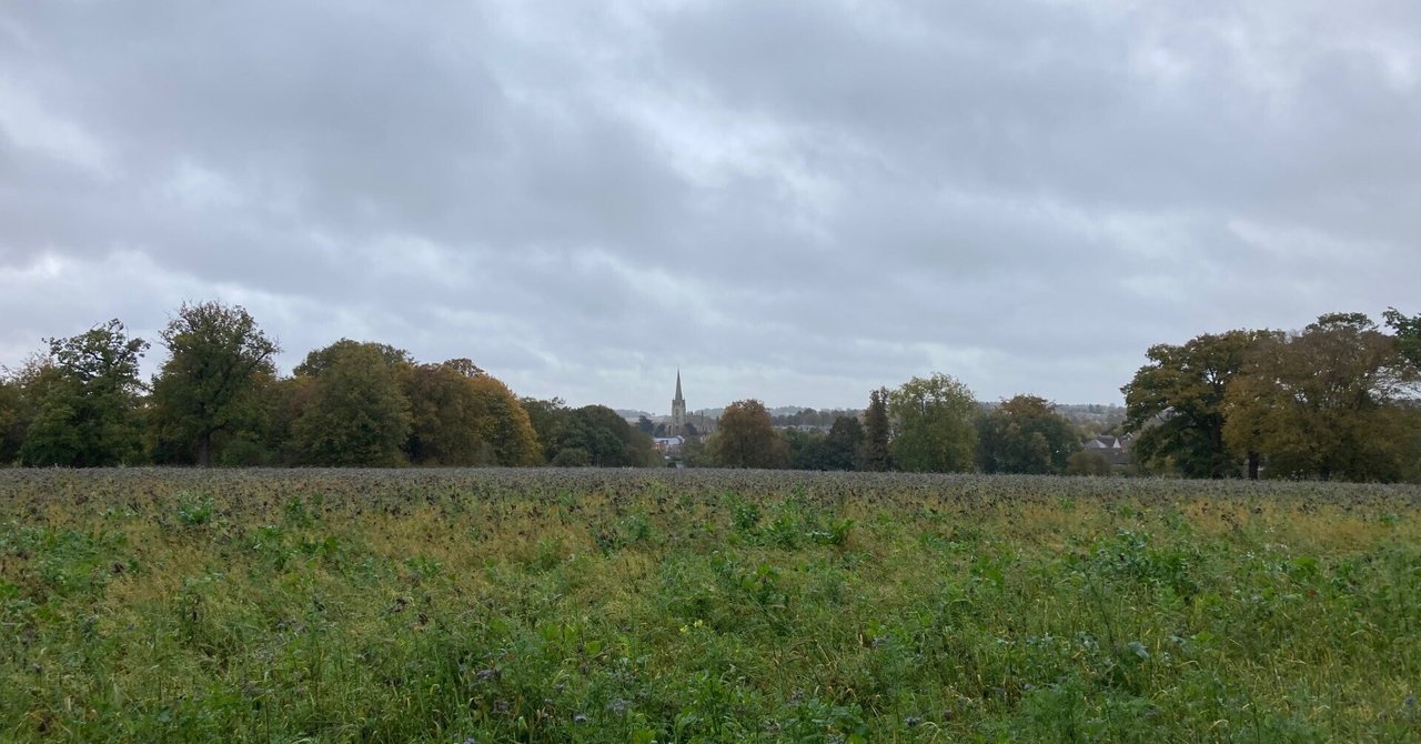 ZOE 102 Day 4｜Kumiko Viola - UK