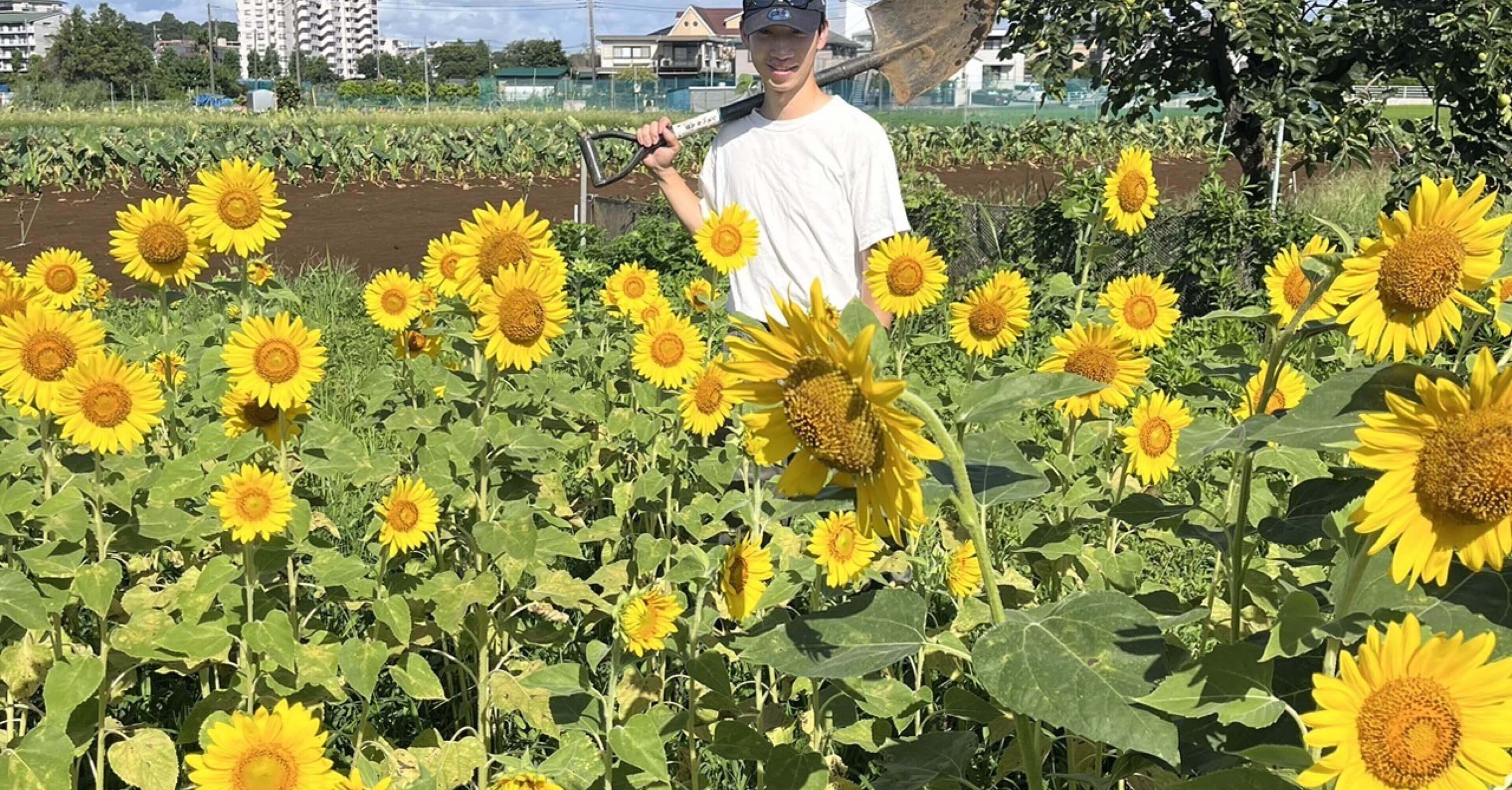 Yoshiki Saito｜note