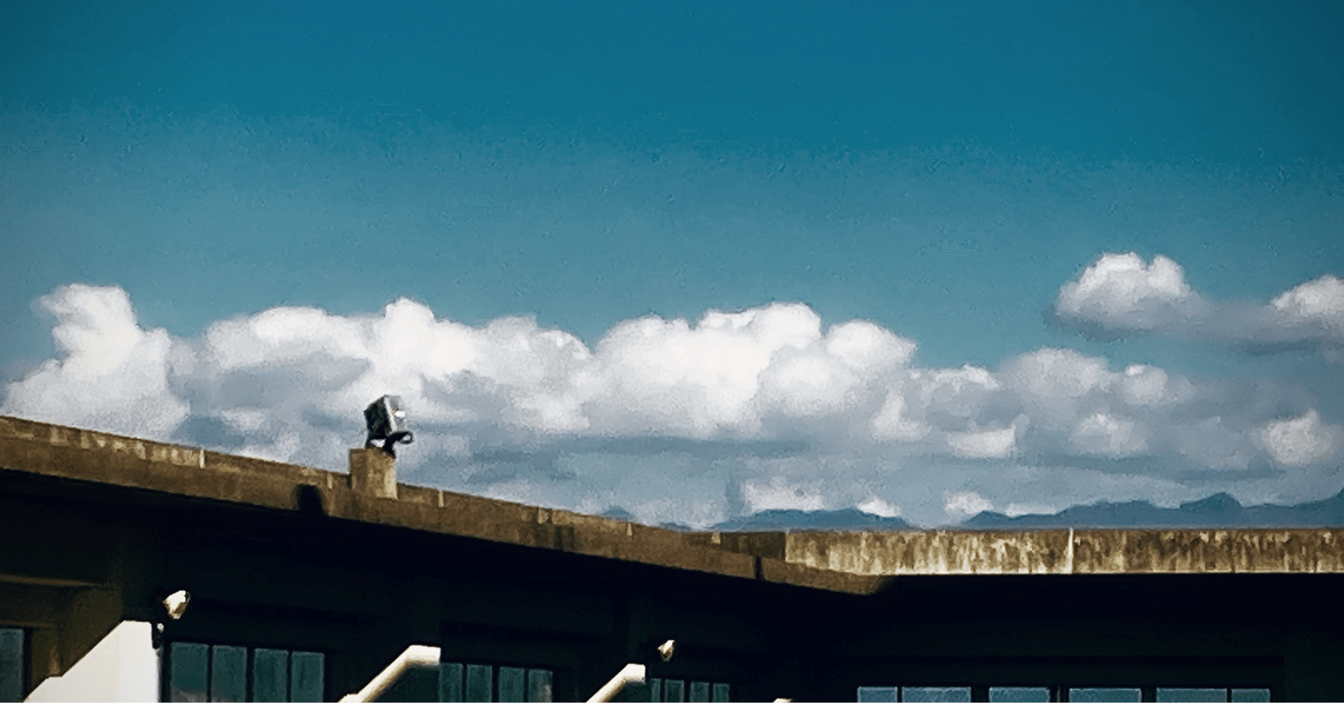 YOSHIAKI AOKI｜note